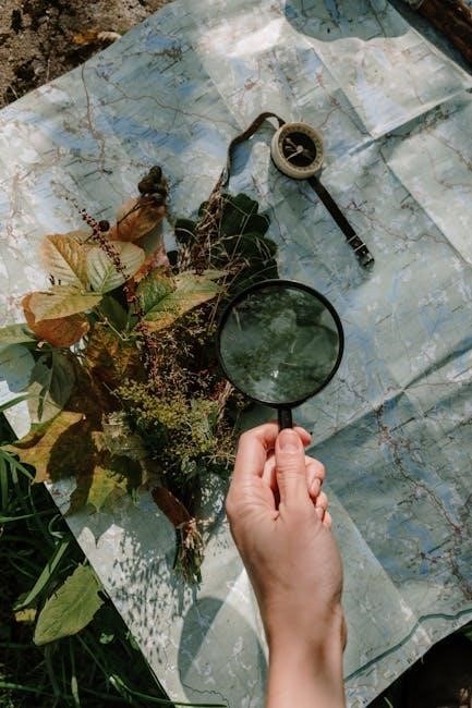 Canada Shoe Size Guide - Perfect Fit Guaranteed!